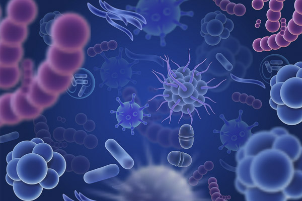 Can Microbes Treat Diseases? SignatureCare Emergency Center