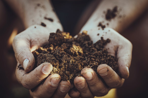 What is Pica (Eating Disorder)? Diagnisis and Causes of Pica